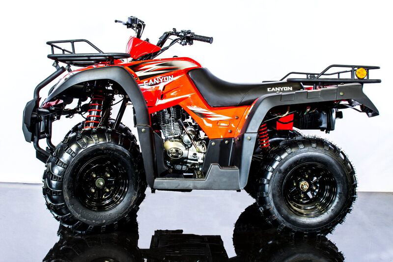 Canyon 250 ATV, 5-Speed, with Reverse – Powersports Warehouse