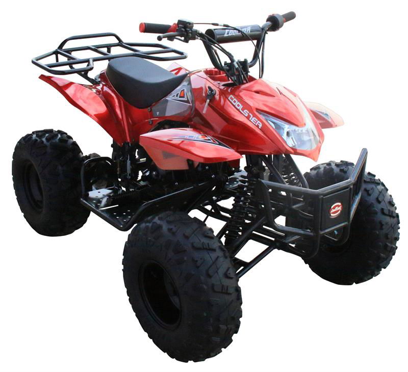 Coolster 125 ATV, Fully Automatic with Reverse, 8 in Wheels (3125-A2 ...