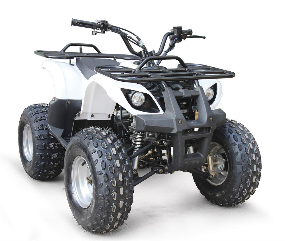 EAGLE 125(B) ATV, 3-Speed, Semi-Automatic, Reverse, 8" Wheels, Disc Br ...