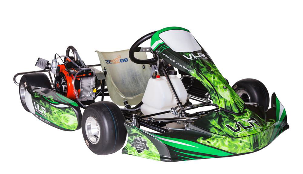 Emerald LO206 Adult Race Go Kart, Briggs LO206, less tires ...