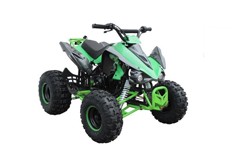 Falcon 125cc ATV, Automatic with Reverse, Electric Start, Speed Govern ...