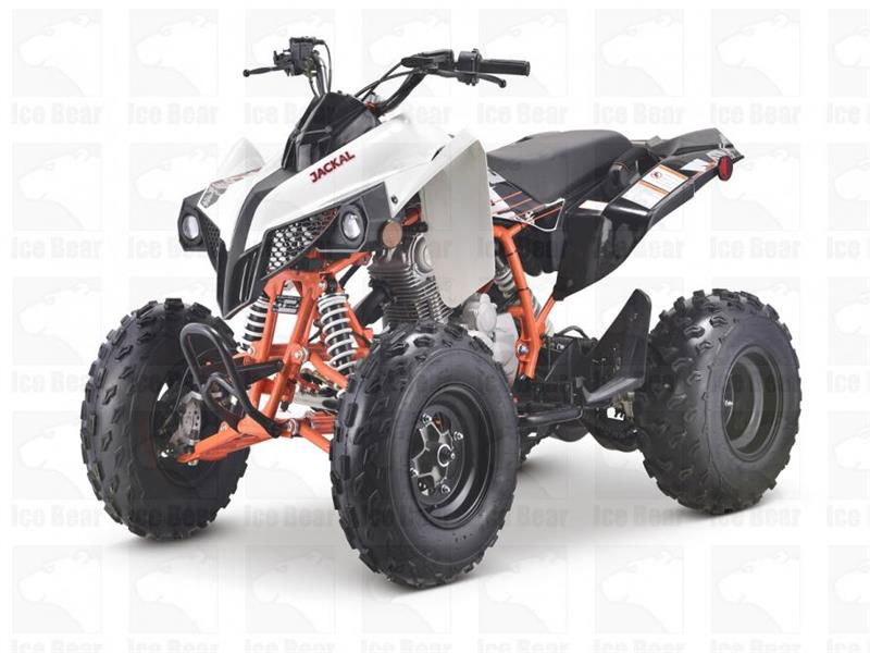 Kayo Jackal 200 ATV, 4-speed Manual with Reverse – Powersports Warehouse