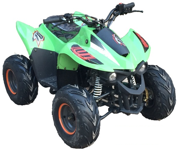EAGLE 110(N) ATV, Auto with Reverse, 6" Wheels, Disc Brake, Remote Sta ...