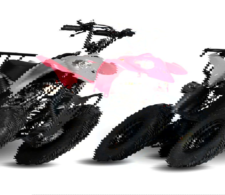 Kandi Scorpion Sport ATV, 110cc Fully Automatic Remote Start/Kill Spee ...