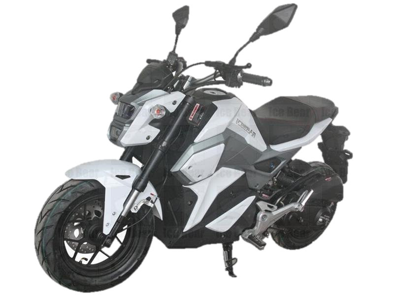 Maxx 50 Motorcycle – Powersports Warehouse