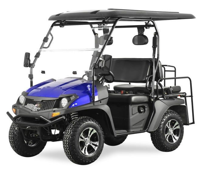 TrailMaster Taurus 200GX UTV Side by Side, Shaft Drive – Powersports ...